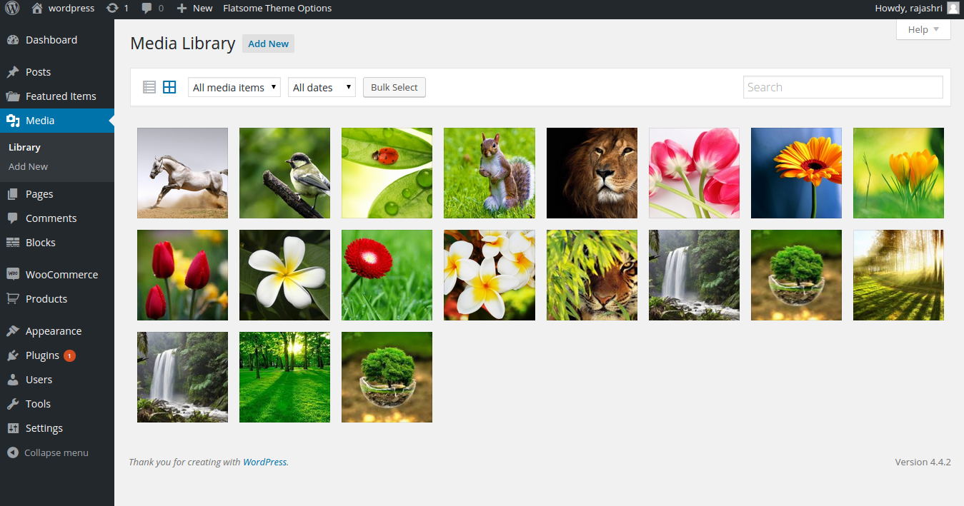 Ultimate Guide About Images in WordPress-I