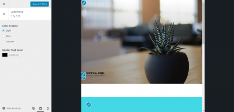 How To Customize Twenty Seventeen WordPress Theme