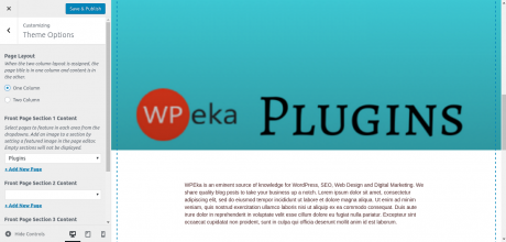 How To Customize Twenty Seventeen WordPress Theme